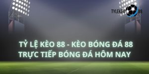 Tylekeo88 - Tỷ lệ kèo 88 - Kèo Nhà Cái 88 - Tỷ Lệ Kèo Bóng Đá Trực Tuyến